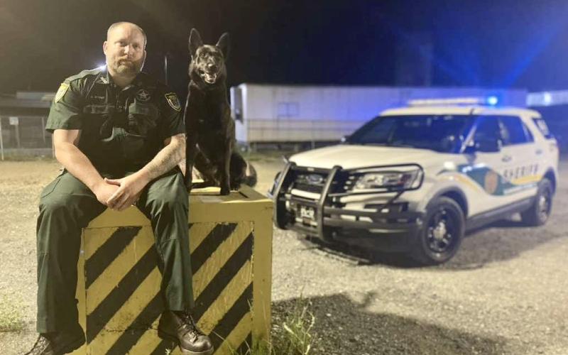 K-9 Officer Loki passes away after cancer diagnosis | Lake City Reporter